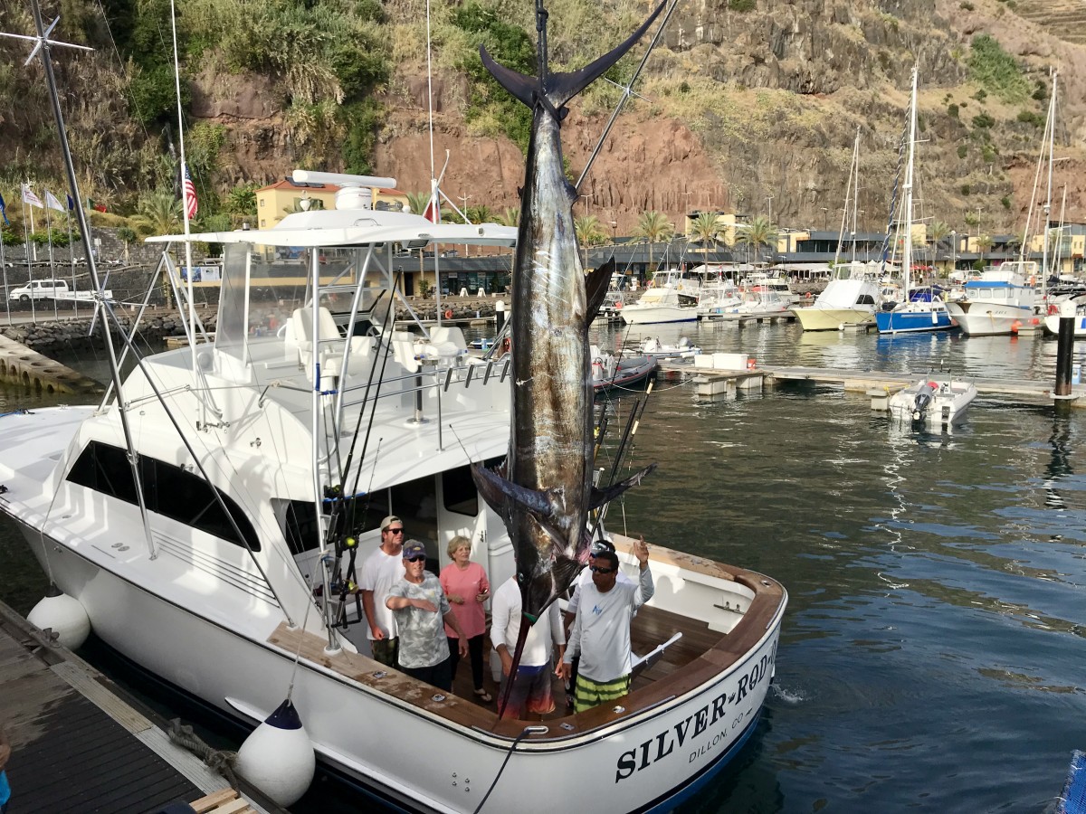 Americano pesca Marlin com 366 quilos e reclama recorde mundial ...