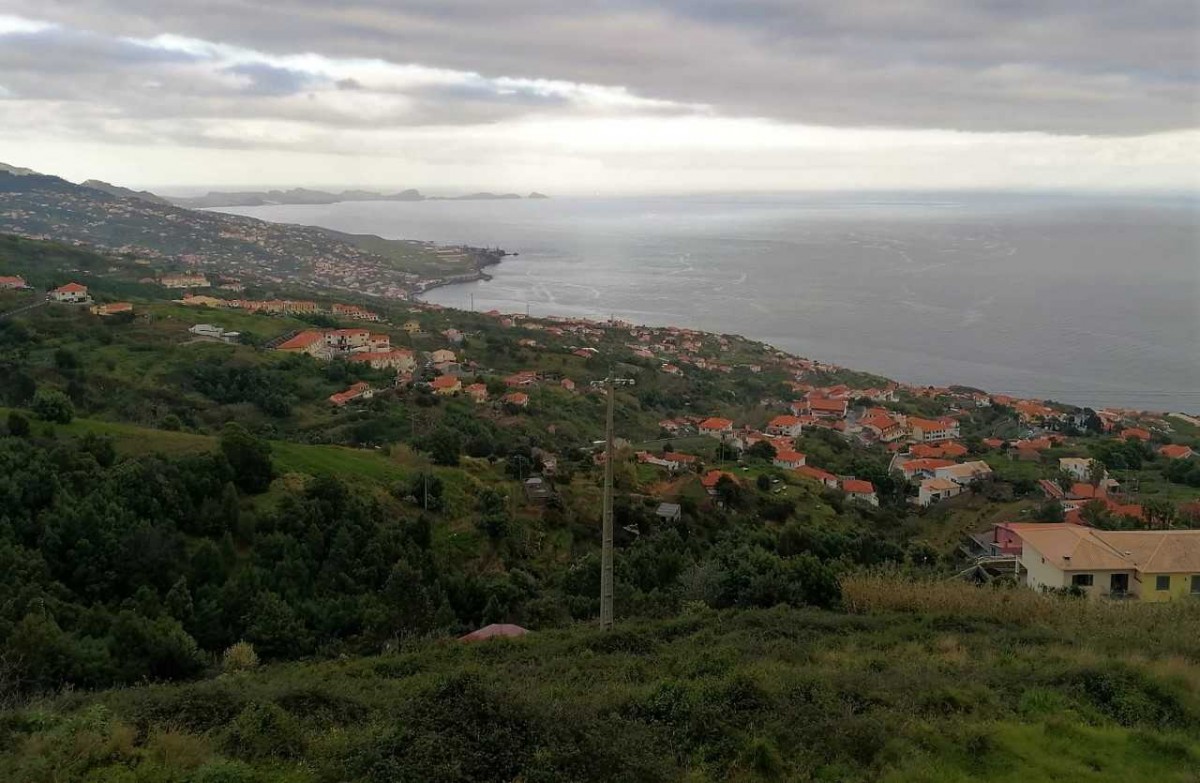 PSD lamenta que JPP resuma necessidades de Gaula "a uma estátua ...